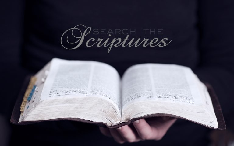 Search the KJV Bible for any word or phrase